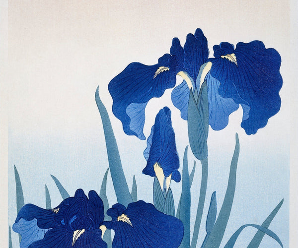 The Timeless Beauty of Ohara Koson: Nature in Motion at Sarasvati Desi ...